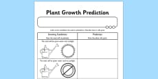 Plant Growth Prediction Worksheet