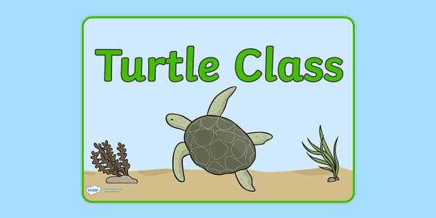 Turtle Class Display Posters - turtle, class, display, poster