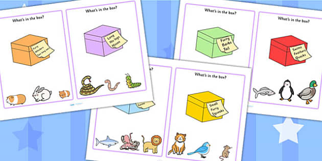 Whats In the Box Drawing Inferences Activity Cards - Inference