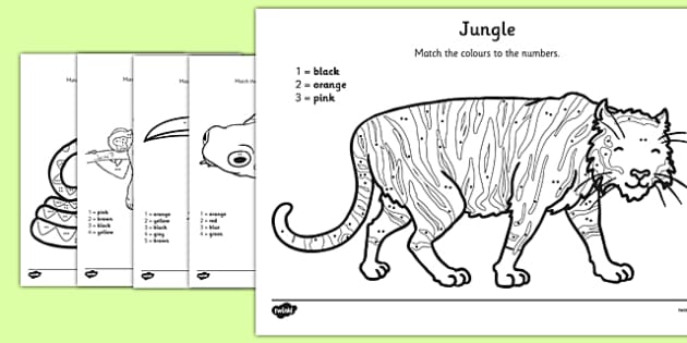 Jungle Colour by Number Counting Activity Sheet - colour