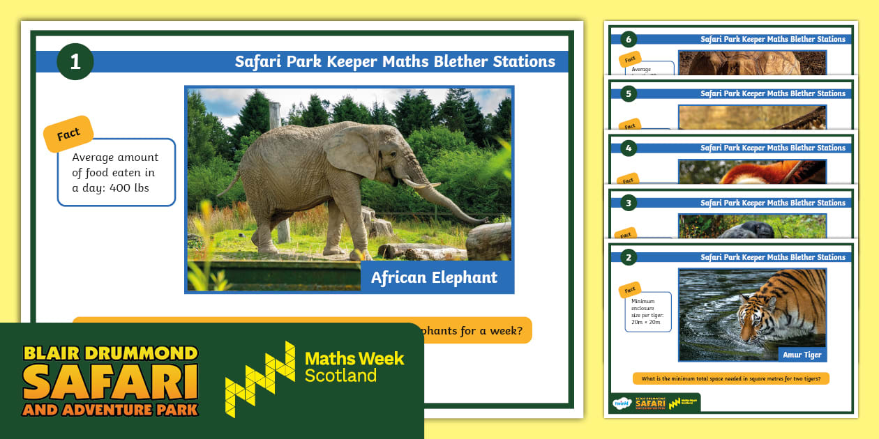 Safari Park Keeper Maths Blether Stations Twinkl