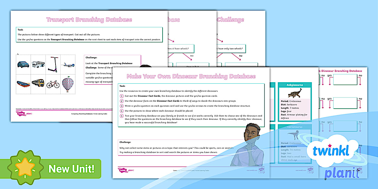 Computing Branching Databases Year 3 Home Learning Tasks