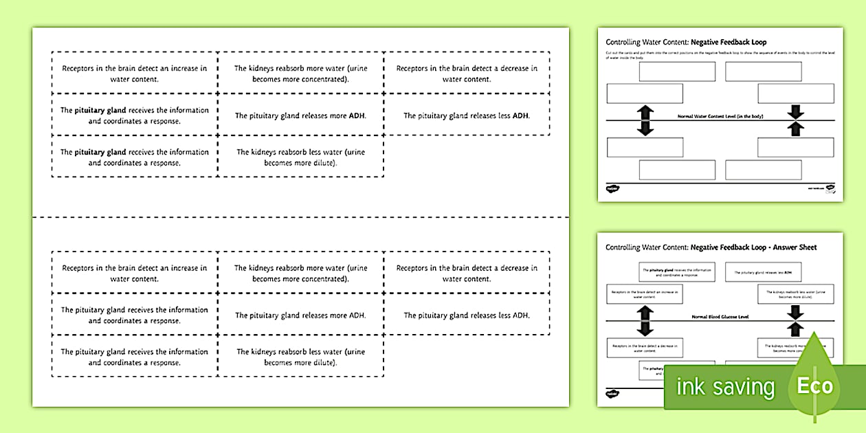 Editable Controlling Water Content Negative Feedback Loop Sequencing Cards