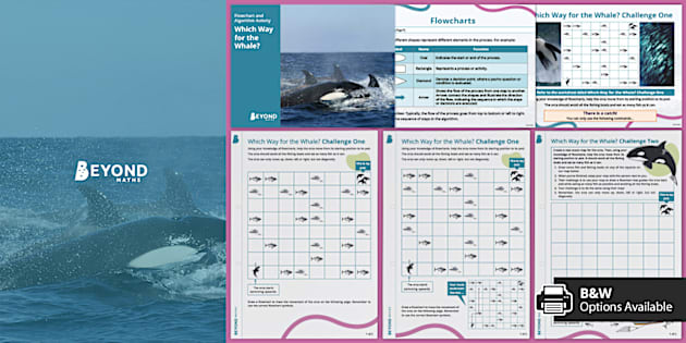 Which Way For The Whale Flowchart And Algorithm Activity Pack