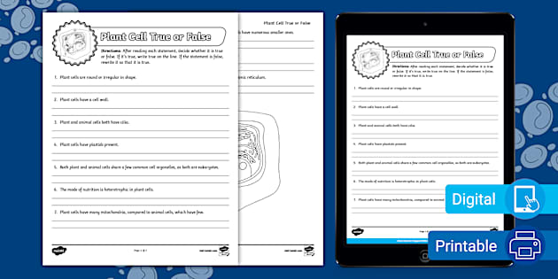 Plant Cell True Or False Quiz For 6th 8th Grade Twinkl