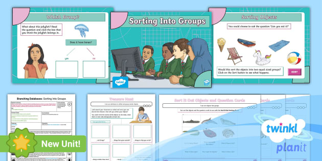 Computing Branching Databases Sorting Into Groups Year 3 Lesson 3