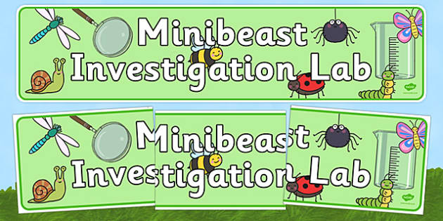 Minibeasts Investigation Lab Role Play Display Banner