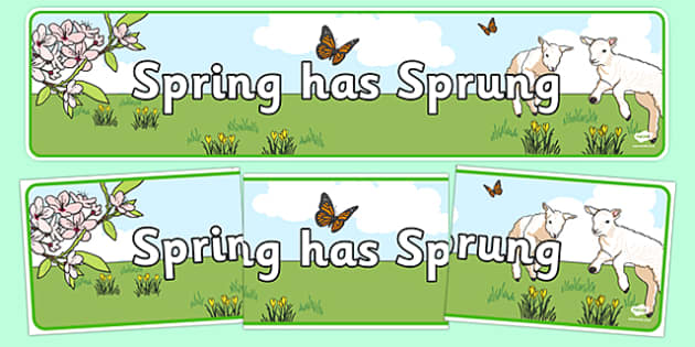 Spring Has Sprung Display Banner - spring, spring has sprung