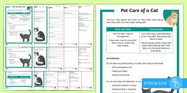 KS2 Pet Care of a Cat Differentiated Comprehension Go Respond