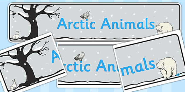 Arctic Animals Display Banner - banners, displays, poster