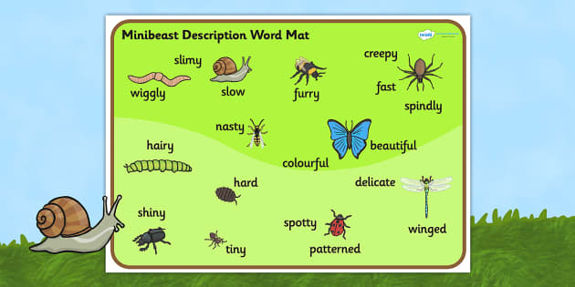 Minibeast Description Word Mat - minibeasts, word mat, visual