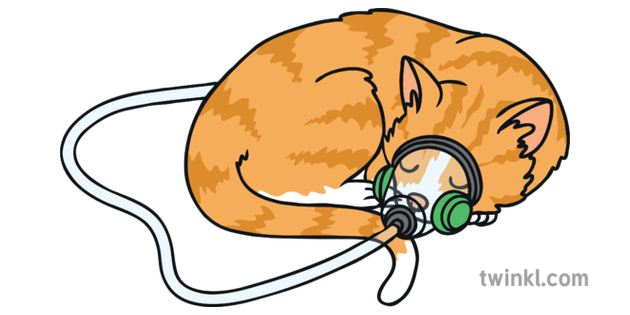 Cat with Oxygen Mask Health Air Pets Care Pet Vets Animals KS1 Illustration