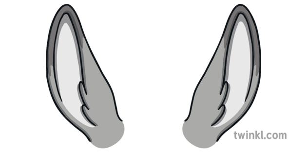 Donkey Ears Illustration Twinkl