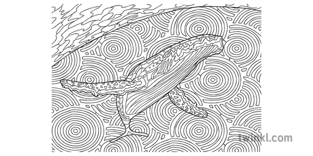 Humback Whale Mindfulness Ocean Aquatic Animal Australia KS2 Black and ...