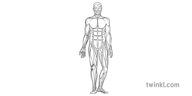 Science Biology Human Body