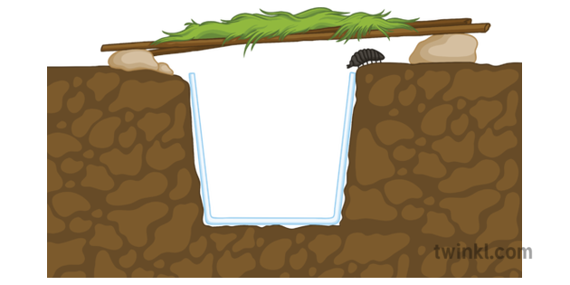 Pitfall Trap Science Ecology Expriment Equipment Secondary Illustration