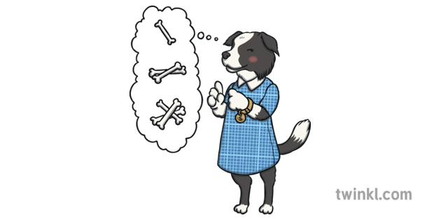 Sequencing Suki Dog Border Collie SATs Reading KS1 2 Illustration - Twinkl