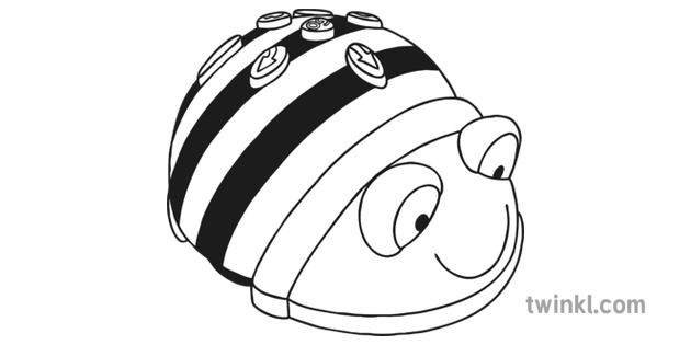 Bee Bot Black and White Illustration - Twinkl