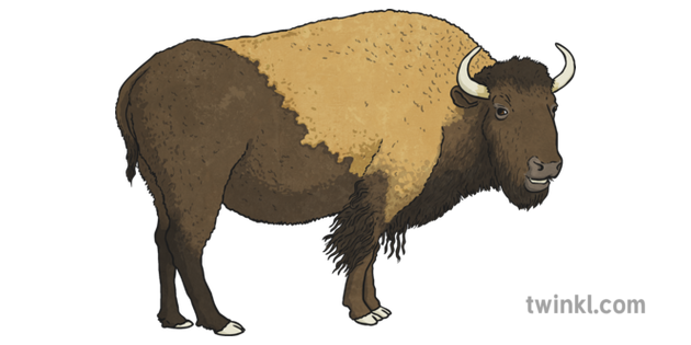 What is North America? - Twinkl