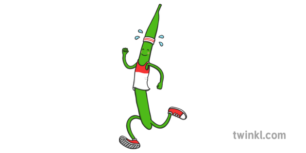 Runner Bean Illustration - Twinkl