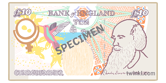 10 Ten Pound Note Back Illustration - Twinkl