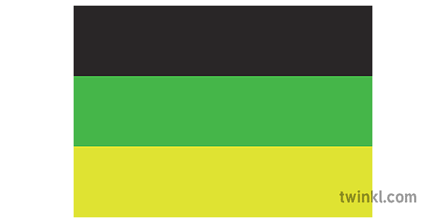 ANC Flag Ilustração - Twinkl
