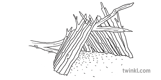 Aboriginal Humpy Shelter Black and White - Twinkl