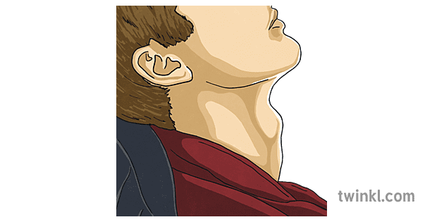 adams appel y4 grootword mens nek keel puberteit verander seun pshe ...