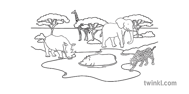 afrikanskt vattenhål med djur svartvitt Illustration - Twinkl