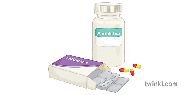 antibióticos 2 Illustration - Twinkl