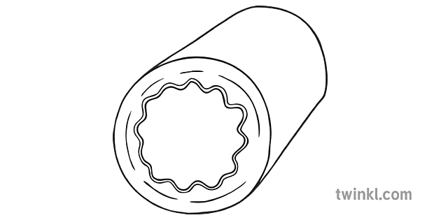 Artery Cross Section Black and White Illustration - Twinkl
