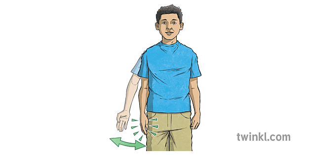 auslan dog sign australian sign language ks2 Illustration - Twinkl