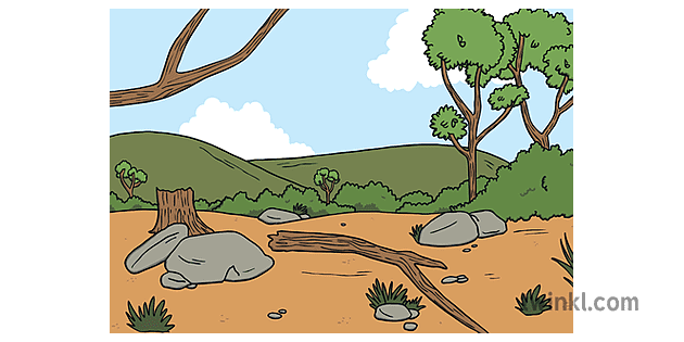 Australian Bush Land Illustration - Twinkl