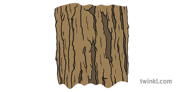 Eight Wonderful Outdoor Activities and Nature Art for Kids