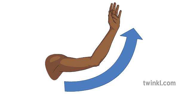 gebogen zwaaiende arm met gebogen pijl - Twinkl