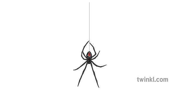 Spider Dangling | atelier-yuwa.ciao.jp