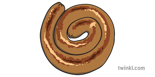 Boerewors Illustration - Twinkl