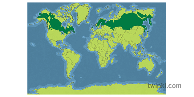 Boreal Zone World Map Habitat Climate Biome Science KS2 Illustration