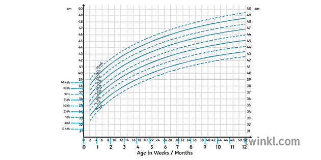 meninos perímetro cefálico percentil chart science ks4