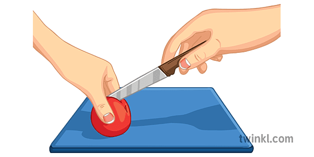bridge hold cutting food dt tecnologia de disseny secundària