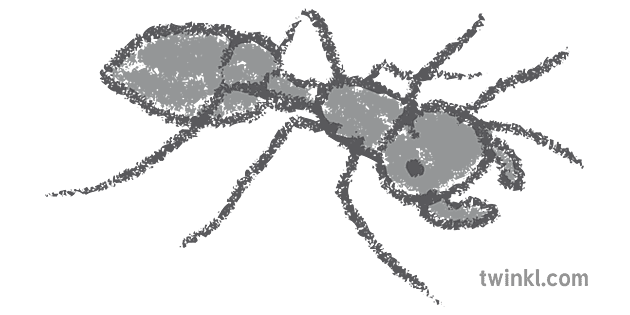 bullet ant 1 grey rgb Illustration - Twinkl
