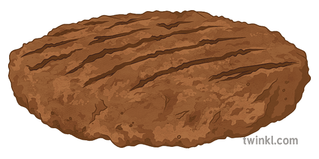 burger patty Illustration - Twinkl