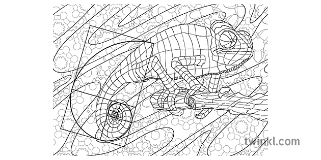 chameleon tail mindfulness coloring golden ratio animal lizard numeracy and