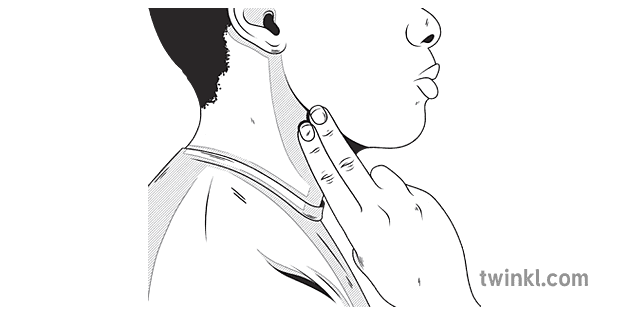 check pulse neck sience heart rate heart human body beyond white and ...