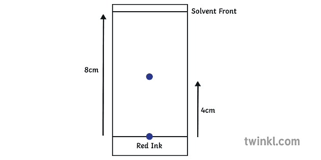Chromatography Rf Value Diagram Science Secondary Illustration - Twinkl