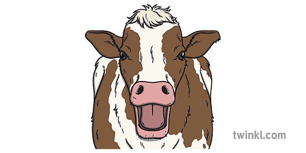 Cow with an Open Mouth Illustration - Twinkl