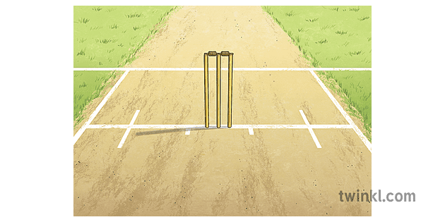 Cricket Crease Illustration - Twinkl