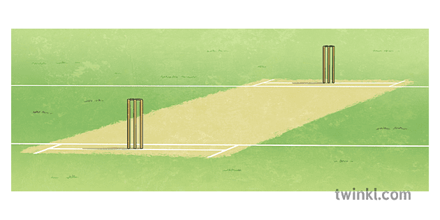 Cricket Pitch Illustration - Twinkl