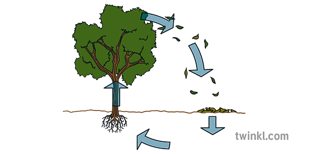 Decomposition Diagram Illustration - Twinkl Decomposition Diagram Illustration - Twinkl