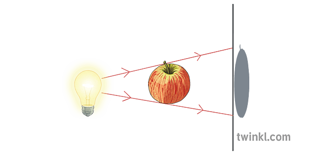Diagram To Show How A Shadow Is Formed No Labels Lightbulb Apple